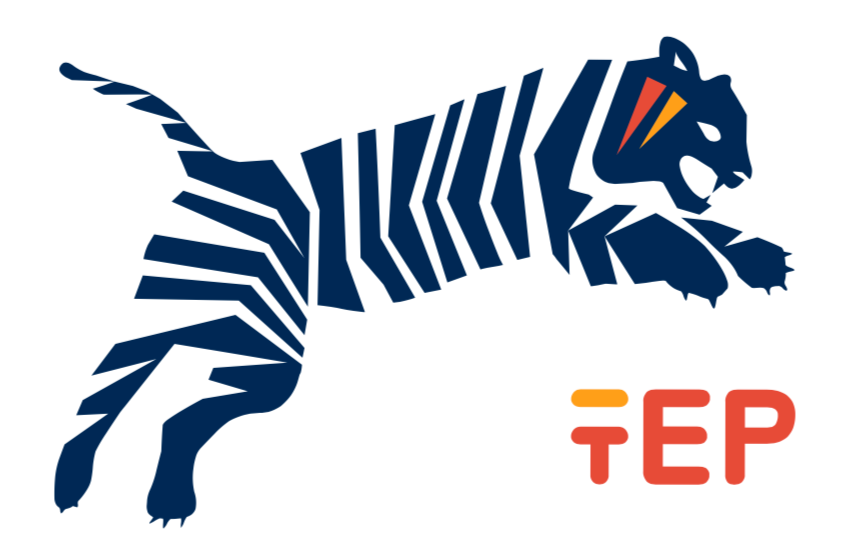 TEP CHARTER SCHOOL-ECP grades K-4 – Student Styles